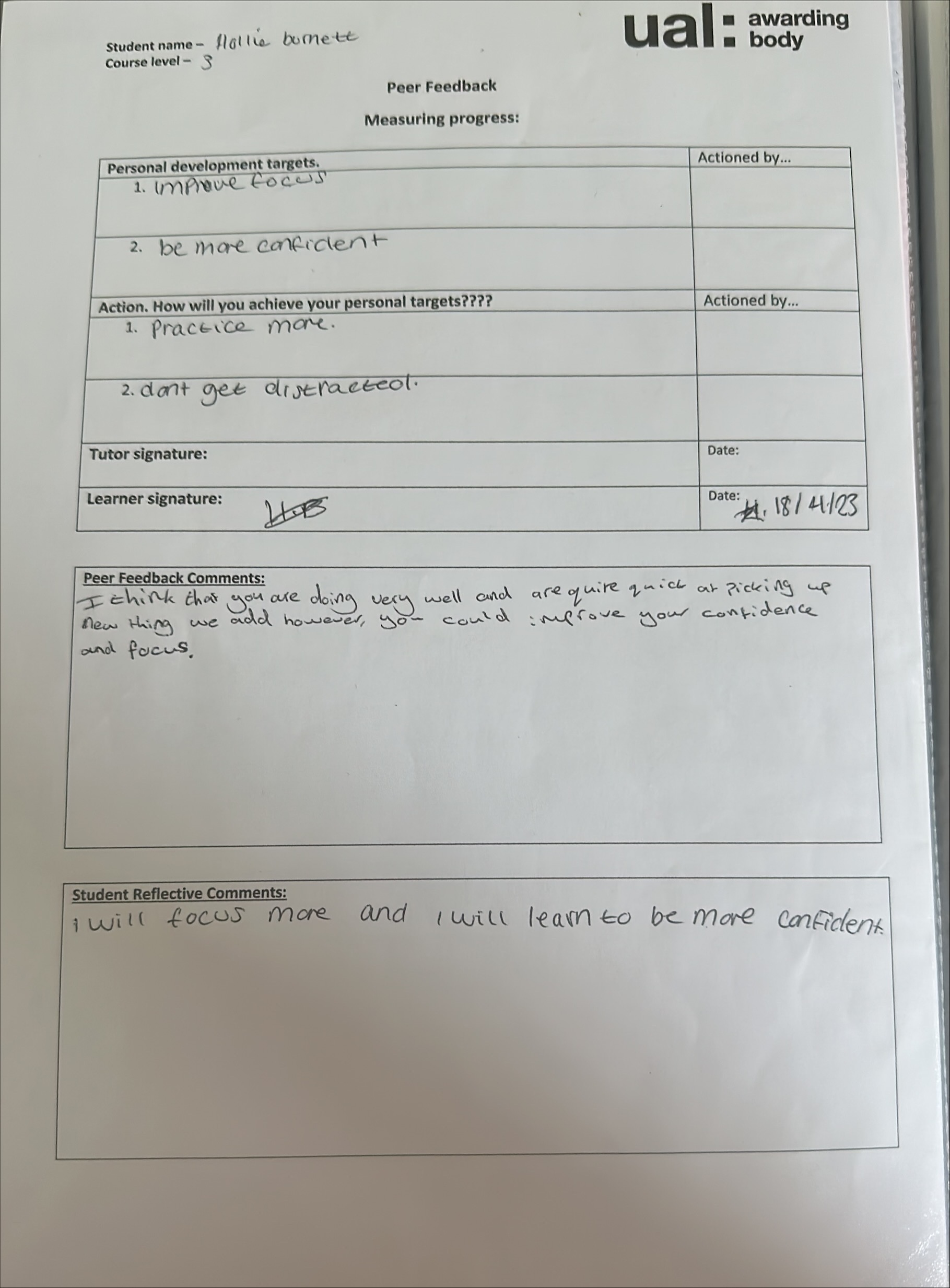 Tutor and Peer Observations – Hollie Burnett FMP Tutor and Peer Observations – Hollie Burnett FMP